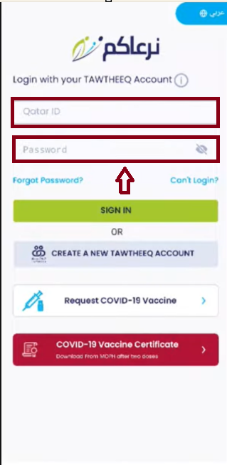 How To Get a Hamad Health Card In Qatar 2026